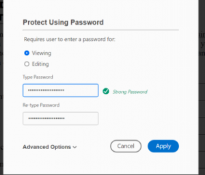 Securing Your Google Doc: How to Password Protect in 2024