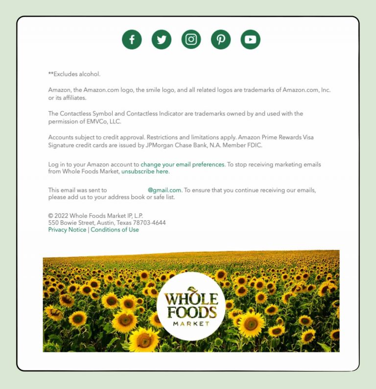 Crafting Professional Email Footers: Examples and Tips